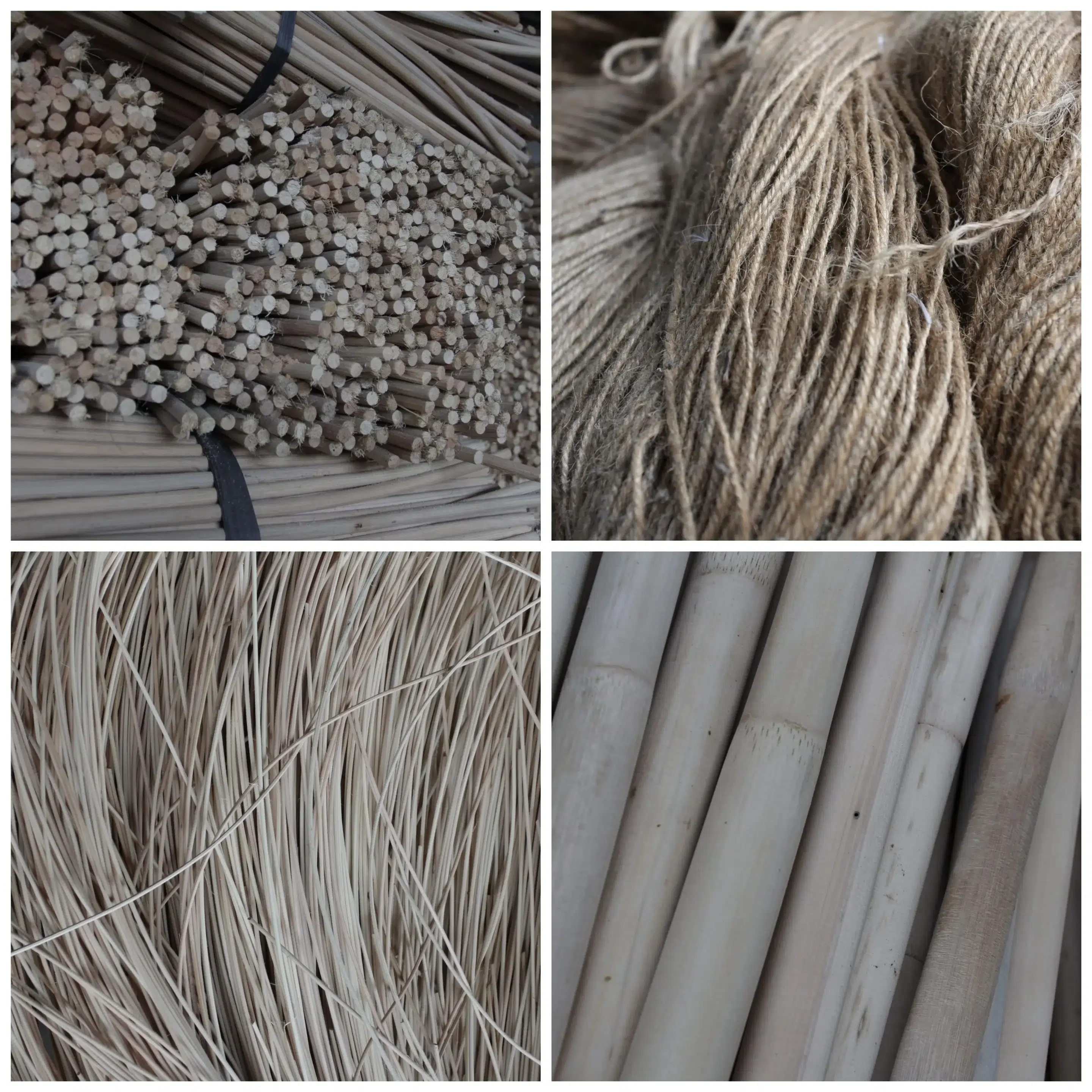 Rattan as Raw Material for Sustainable Furniture - Suwastama
